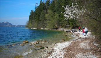 GRANDER® GmbH | Granderwasser - Wasserbelebung | Zentrale Jochberg ...